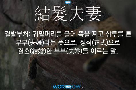 한자 結髮夫妻 결발부처