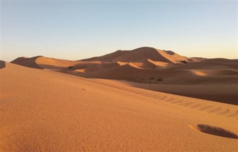 12 Curiosidades del Desierto del Sáhara el más grande del mundo