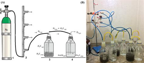 A Scheme And B Picture For The Hydrogen Sulfide Removal Apparatus