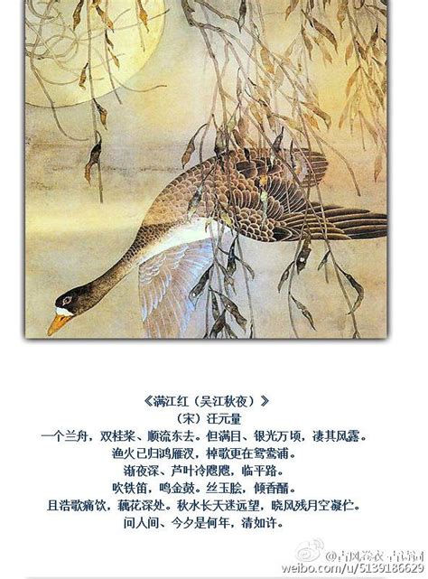 唐詩 宋詞吟鴻雁 每日頭條