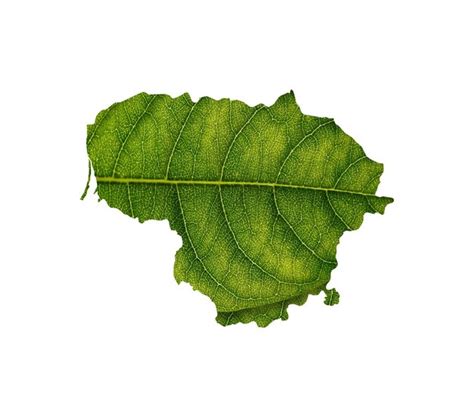 Mapa da lituânia feito de folhas verdes no conceito de ecologia de