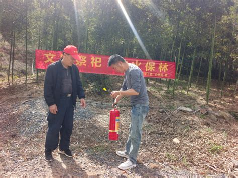 人间四月清明节 一束鲜花祭故人