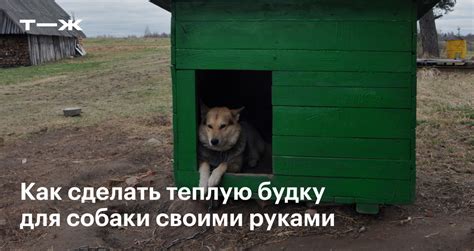 Как сделать будку для собаки своими руками