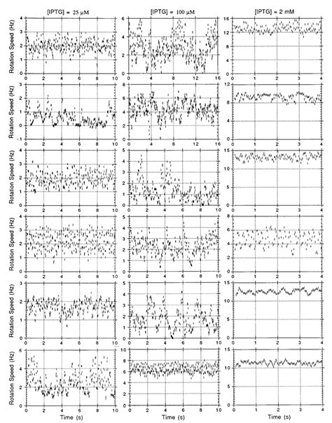 Rotation Speeds Versus Time Of Tethered Cells Expressing Flim At Three