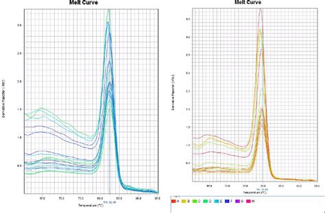 Abcb1 Mrna Expression In The Presence Or Absence Of Ncb And Verapamil