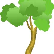 Cartoon Tree PNG Pic PNG All PNG All