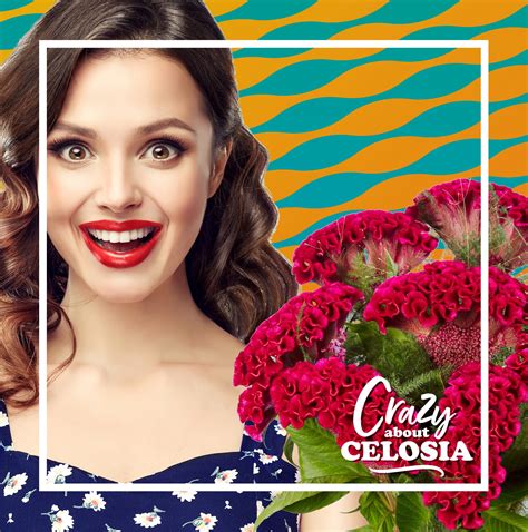 Inspiratie Crazy About Celosia