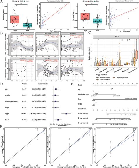 Analysis Of Immune Infiltration And Nomogram For Predicting Survival Download Scientific