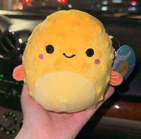 Safa Is So Fucking Cute 😭 Rsquishmallow