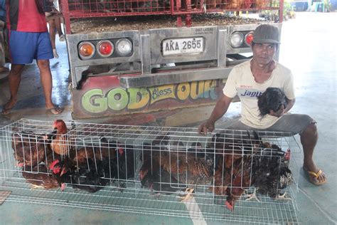 P600 K Halaga Ng Interbensyon Ipinagkaloob Ng DA 4A Sa Mga FCA Sa