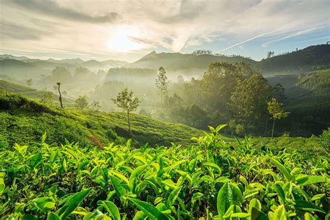 Places To Visit In India During Monsoon