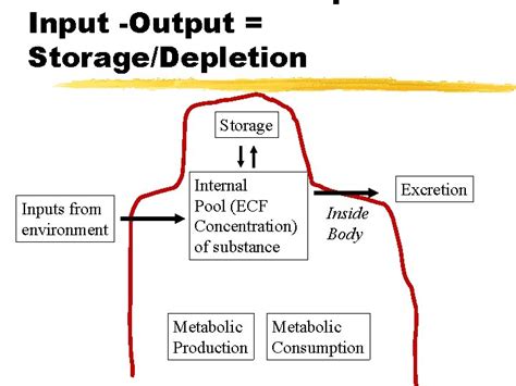 FLUID BALANCE D C Mikulecky FLUID BALANCE Z