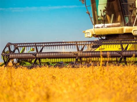 Agricultura Intensiva Qué Es Características Y Ventajas