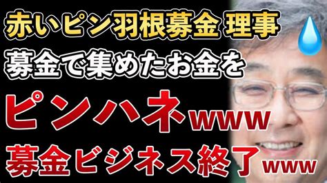 赤い羽根募金の理事もピンハネ！子供たちから募金で集めたお金を自分が理事長の団体に横流し！【masaニュース雑談】 Xoxo Japan