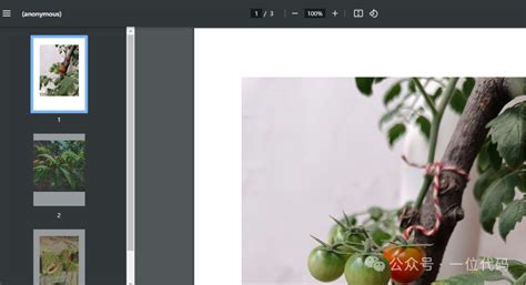 Python 图片转换为 Pdf 实现方法python 图片转pdf Csdn博客