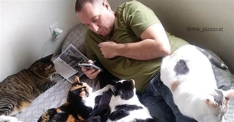 Typical Album On Imgur