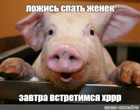 Мем ложись спать женек завтра встретимся хррр Все шаблоны Meme