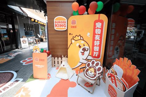 沪上宠物友好餐厅越来越多美食 萌宠成为趋势 汉堡 主题 消费者