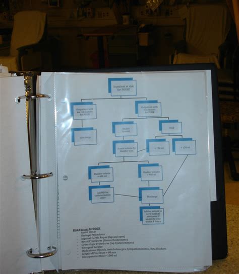 Voiding Algorithm Raelyn Nicholsons Level 3 Portfolio