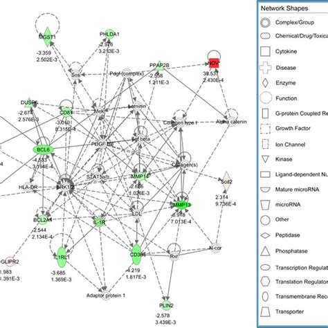 Functional Networks Interconnection Of Significant Functional