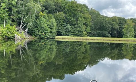 10 Acres In The Headwaters Community Todd Nc