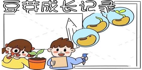 豆芽观察日记七天带图手抄报 360新知