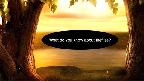 Firefly Animated Keynoteppt Presentation Colorful Science Made By
