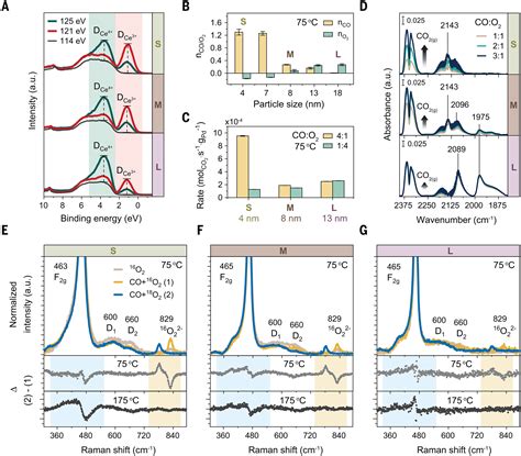 Size Of Cerium Dioxide Support Nanocrystals Dictates Reactivity Of