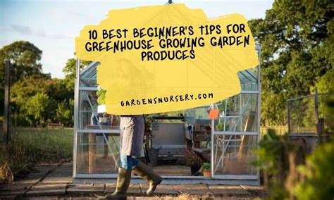10 Best Beginners Tips For Greenhouse Growing Garden Produces