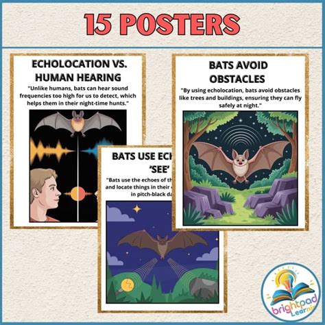 Bats Echolocation Posters 13 Bat Science Fall And Halloween Classroom