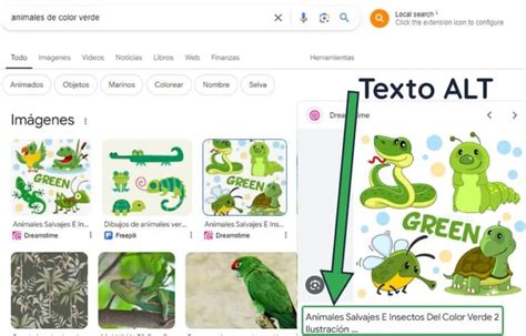 Atributo Alt Qu Es Y C Mo Optimizarlo En Im Genes
