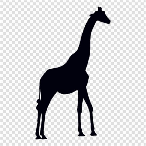 Detail Giraffe Silhouette Png Koleksi Nomer 20