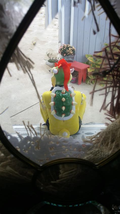 Poor Defeated Bowser Rgaming