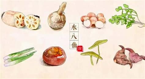 智慧厅堂水八仙 莲藕