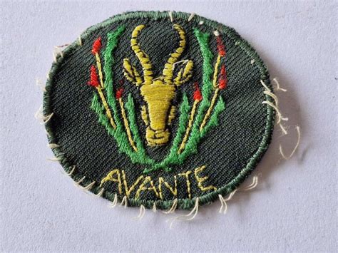 South African Army Sadf 5 Sai Beret Badge For Sale In Durban Id 625117464