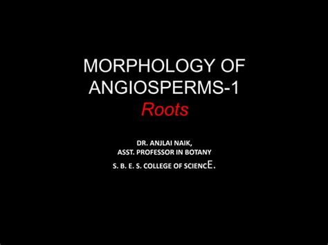 Roots Pptx