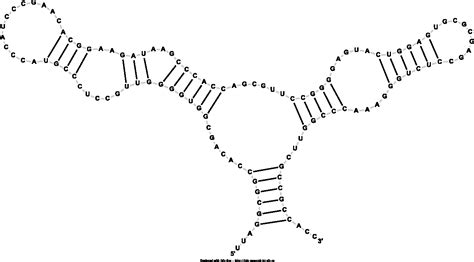 Figure 1 From A Hybrid Clusteringevolutionary Algorithm For Rna