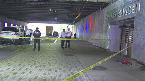 Woman Stabbed Man On A Septa Train After He Punched Her In The Face