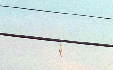 Portlandia Invaded By Hundreds Of Sex Toys Dangling From Power Lines Dangerous Minds
