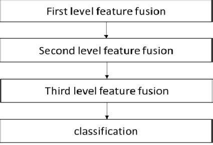 Multi Level Feature Fusion Workflow Download Scientific Diagram