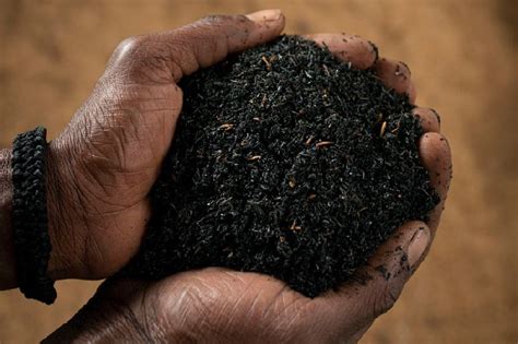 Bio Organic Fertilizer Purity 99 At Rs 3 In Satna Id 6324135