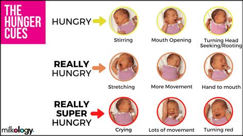 27 Expert Breastfeeding Tips For New Moms Milkology