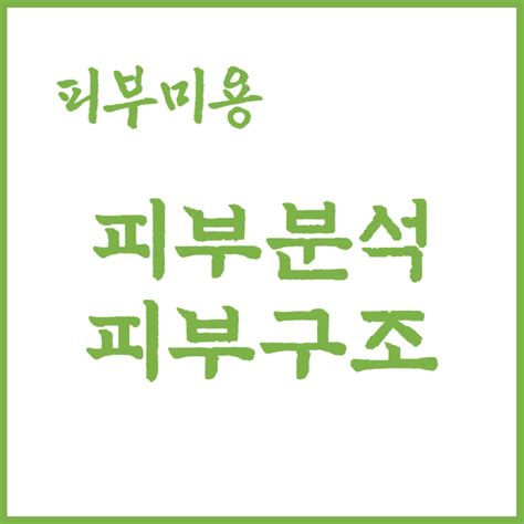 피부미용 피부분석 피부구조표피진피피하조직 네이버 블로그