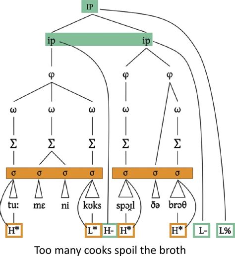 The Prosodic Hierarchy With Head Association In Orange And Edge Download Scientific Diagram
