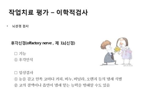 작업치료평가도구 뇌기능 인지