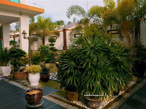Landskap Halaman Rumah Kampung Landskap Hiasan Halaman Rumah Kampung
