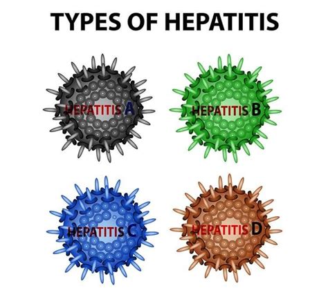 Types Of Hepatitis Causes Of Hepatitis Treatment Of Hepatitis The Signs And Symptoms Of Hepatitis