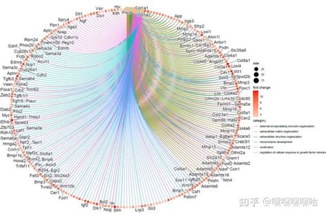 Rna Seq Gokegg Enrichplot