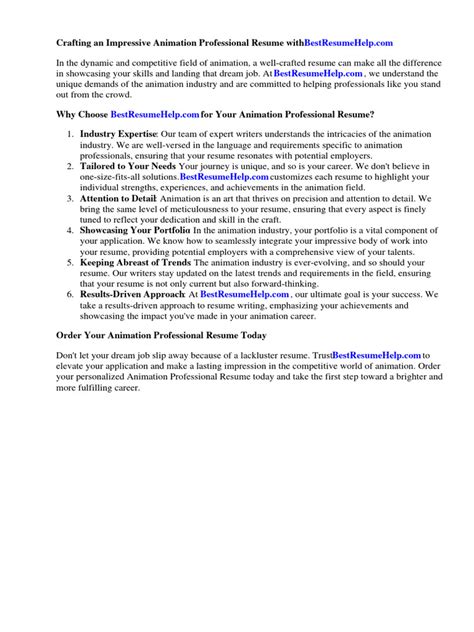 Animation Professional Resume Pdf Résumé Experience