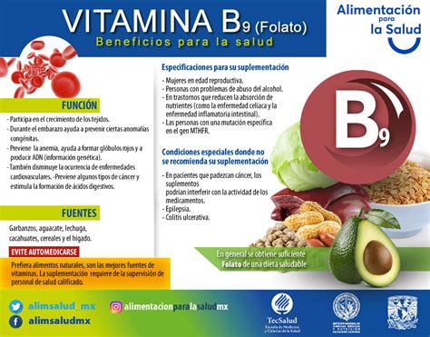 Vitamina B9 Alimentación Y Salud